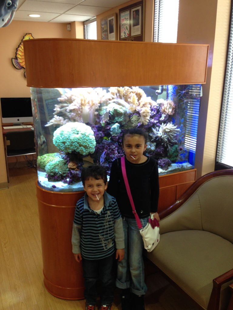 Aquarium Service for Children? ~ Creation of the Sea