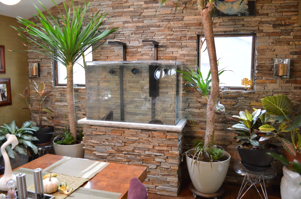 Custom Saltwater Aquarium with Stone Stand ~ Creation of the Sea