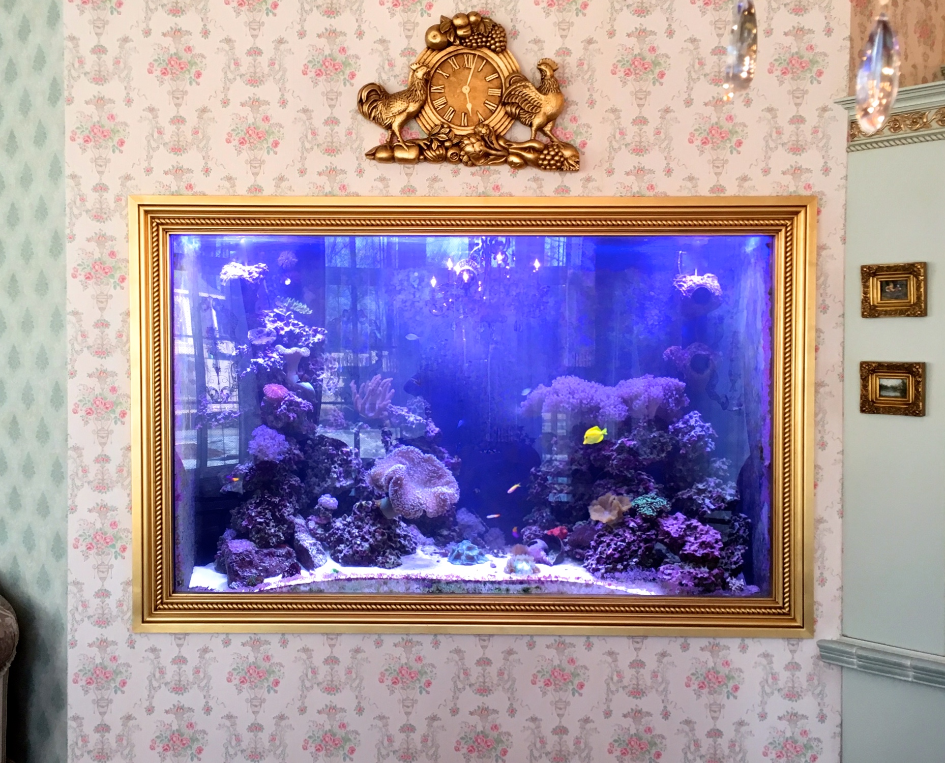 Custom Built-in (Picture Frame) Saltwater Aquarium ~ Creation of the Sea
